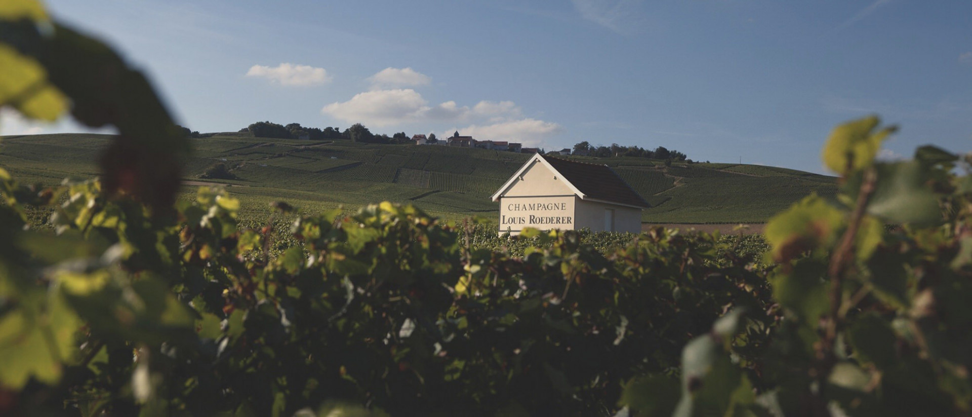 2012 Louis Roederer, Cristal (3 x 75cl) - Nelson rare wines